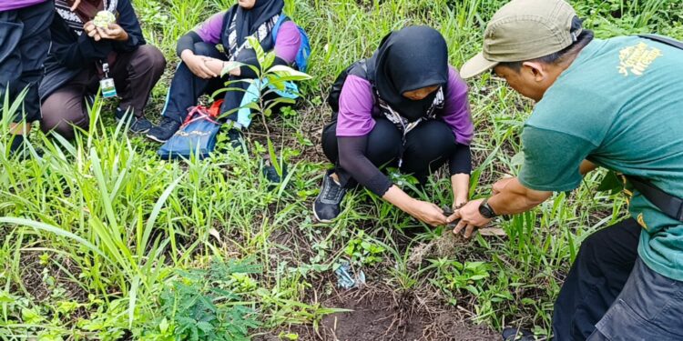 Saka Wanabakti Bantul Ikuti Giat Subcamp Peransaka DIY 2023 di Taman ...