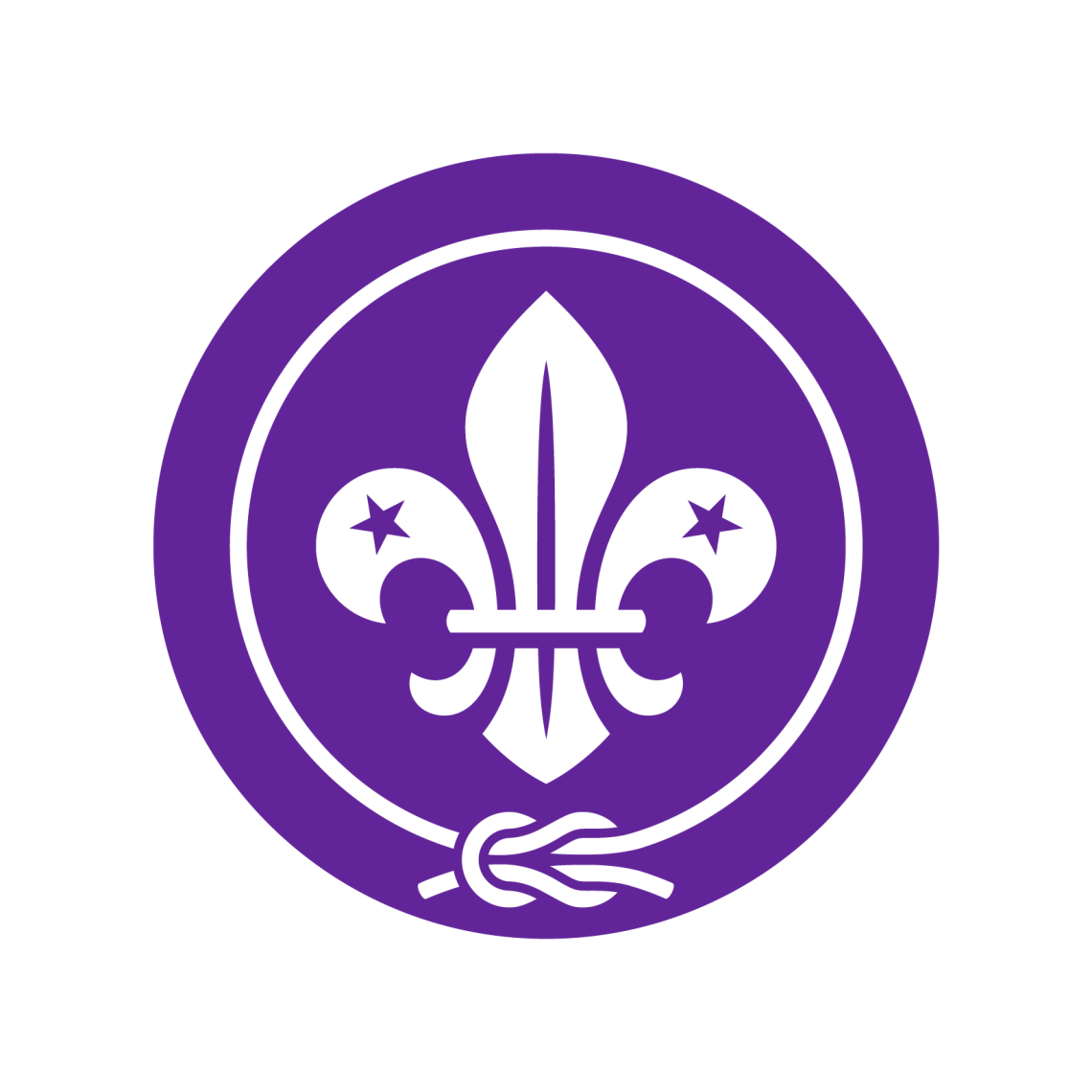 Ini Dia Logo WOSM Terbaru, Serupa Tapi Tak Sama : Slogan Menjadi Ready ...